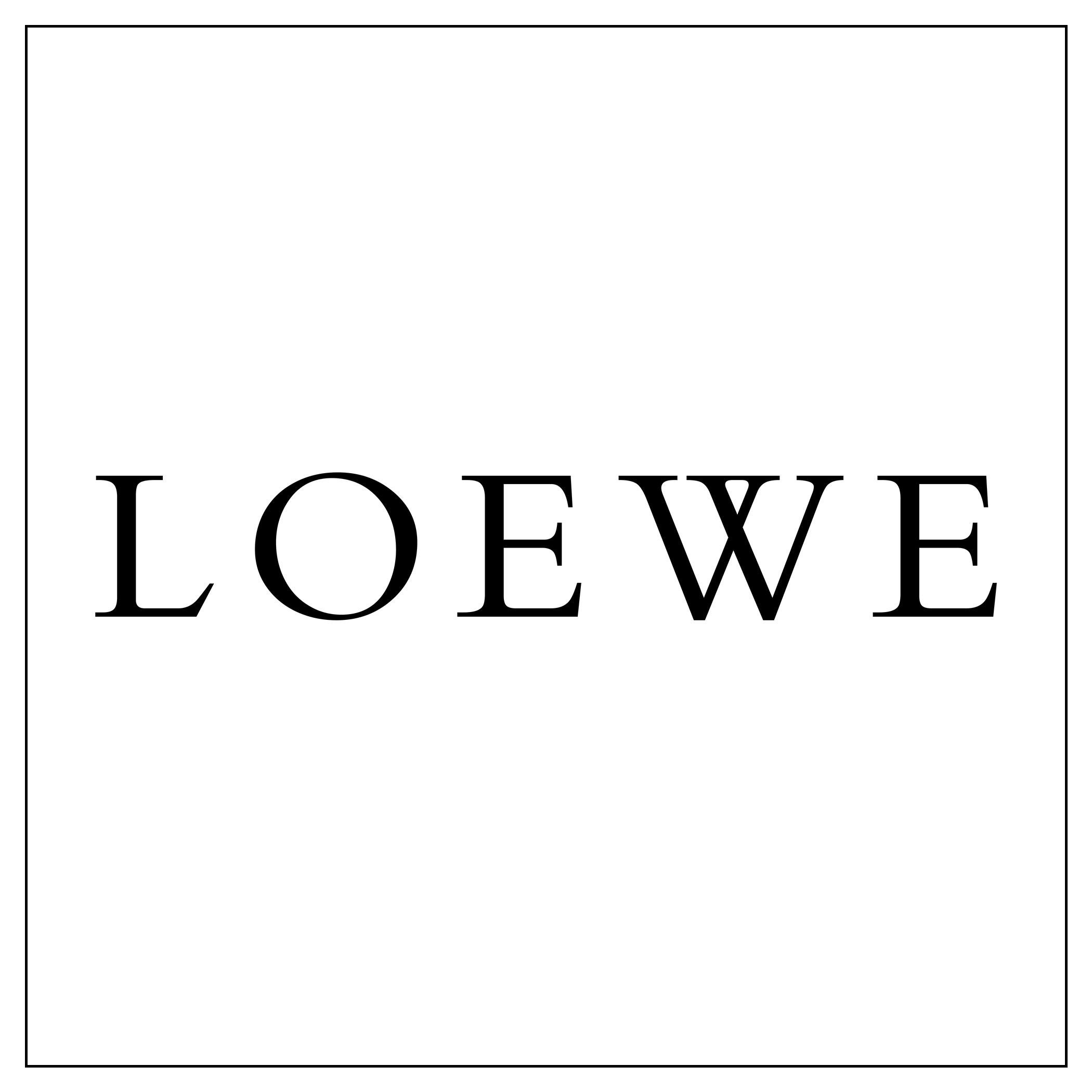 Loewe – Valise La'Bel